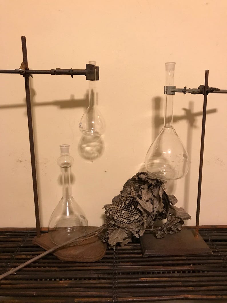 Antique Science Lab Stand Lab Beaker Lab Vase Glass Industrial Iron ...
