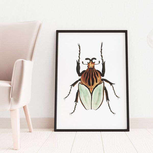 Entomology Print - Etsy