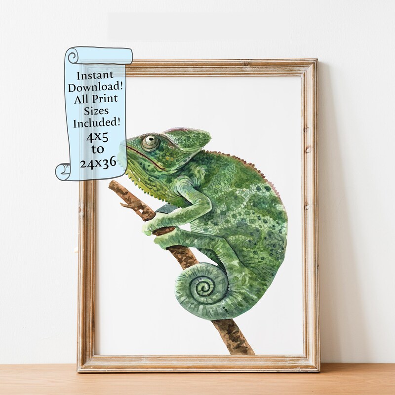 Chameleon Art - Etsy