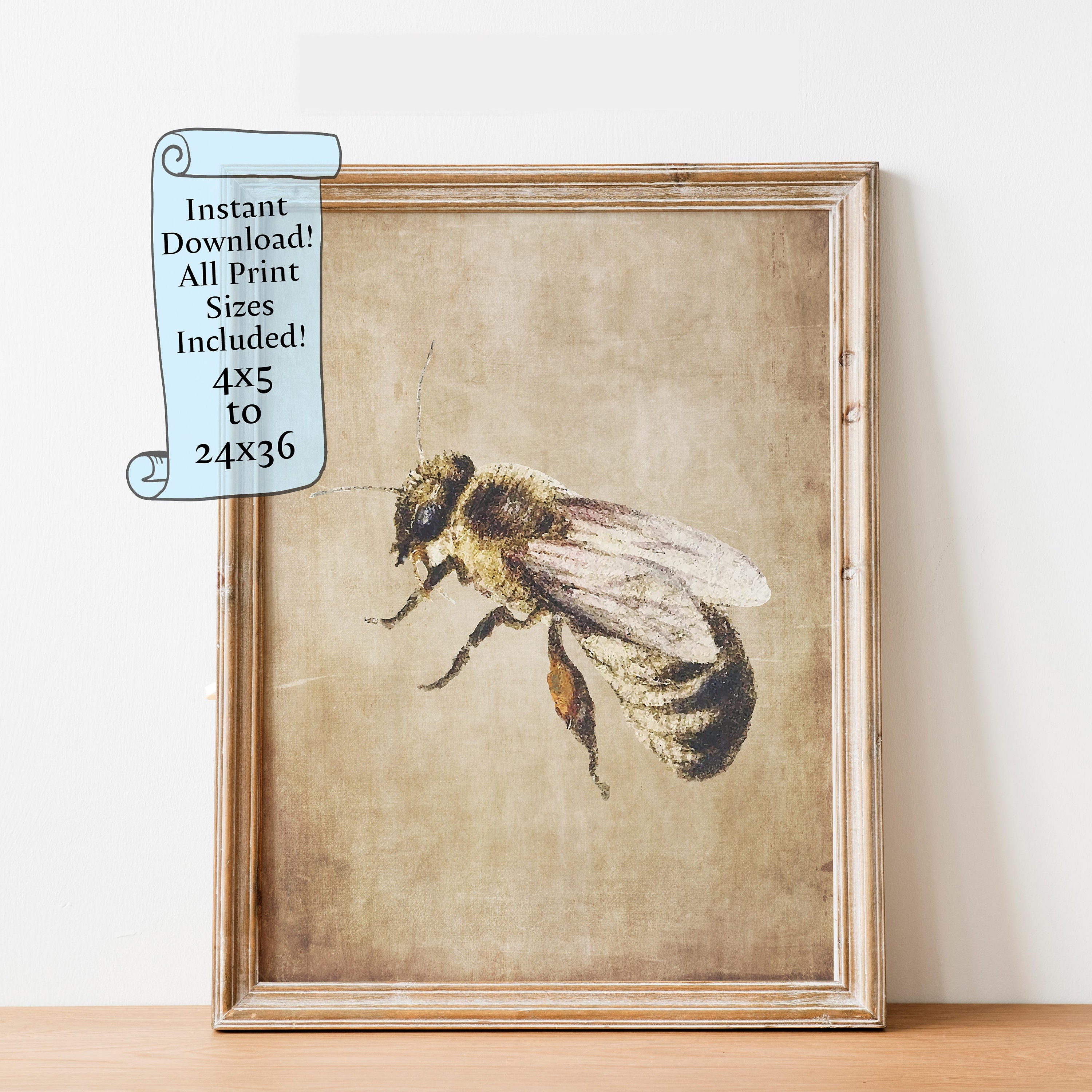 Honey Bee Wall Art Downloadable Print Insect Bug Art - Etsy