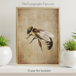 Honey Bee Wall Art Downloadable Print - Insect Bug Art - Printable Wall ...