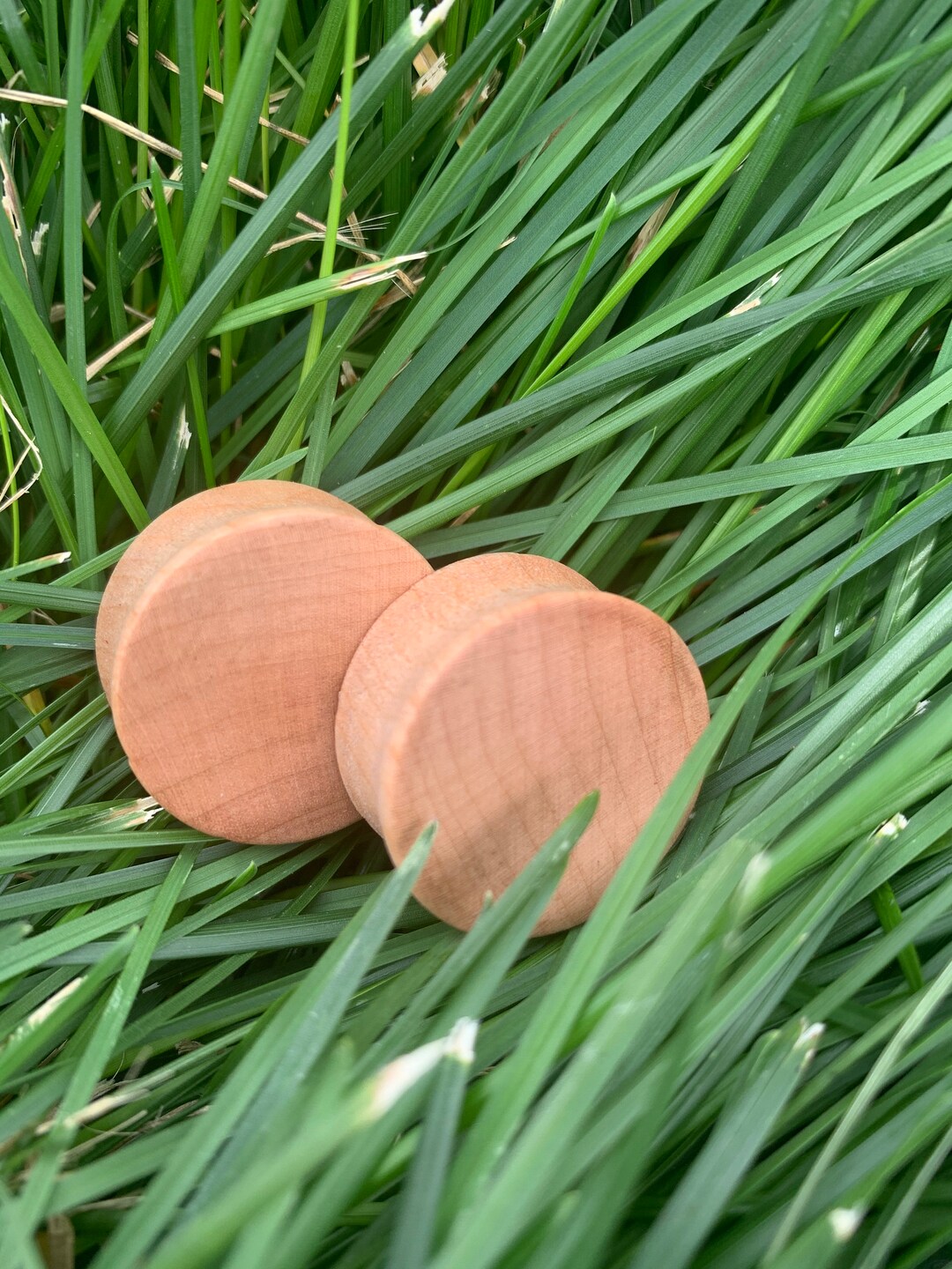 Maple Plugs - Etsy