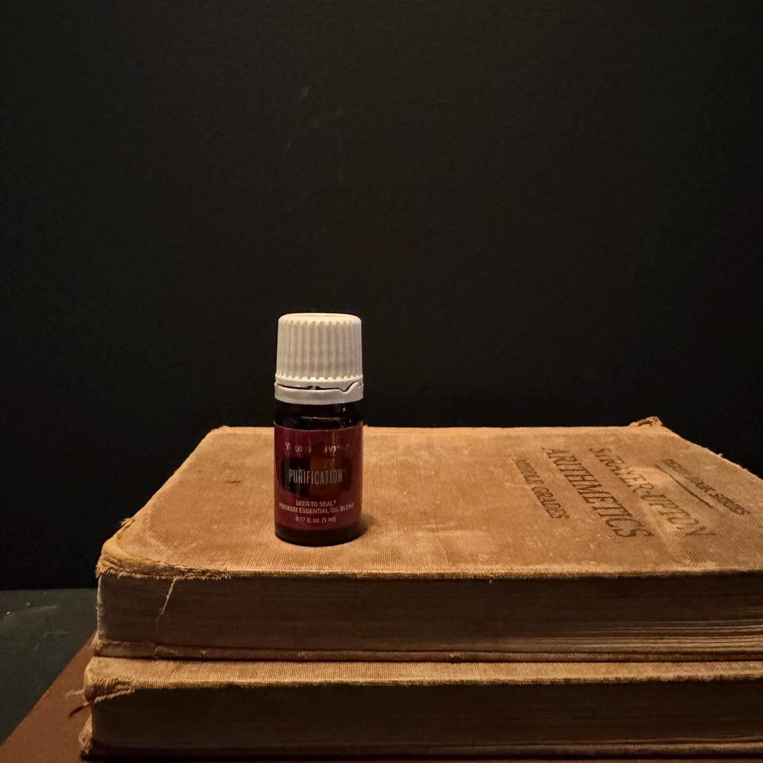 Young Living Purification Essential Oil Blend - 5 Ml / 0.17 Fl. Oz. - Etsy