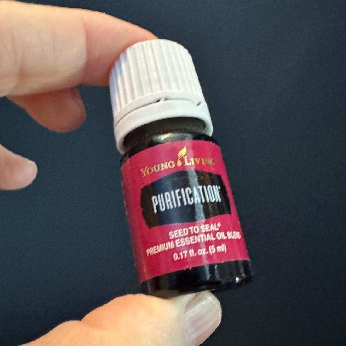 Young Living Purification Essential Oil Blend - 5 Ml / 0.17 Fl. Oz. - Etsy