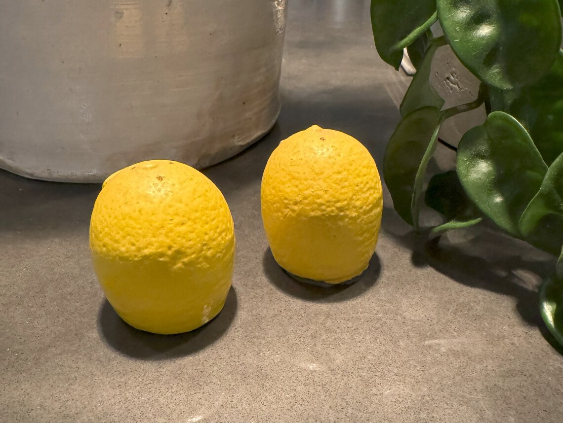 Souvenir Vintage Florida Lemons Salt and Pepper Shakers - Etsy