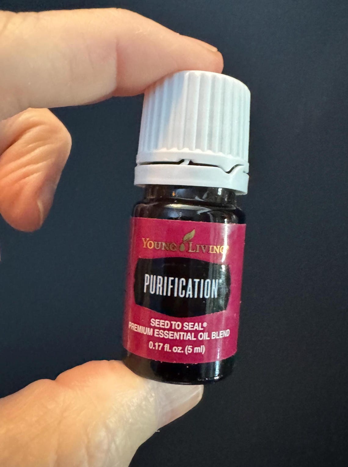 Young Living Purification Essential Oil Blend - 5 Ml / 0.17 Fl. Oz. - Etsy