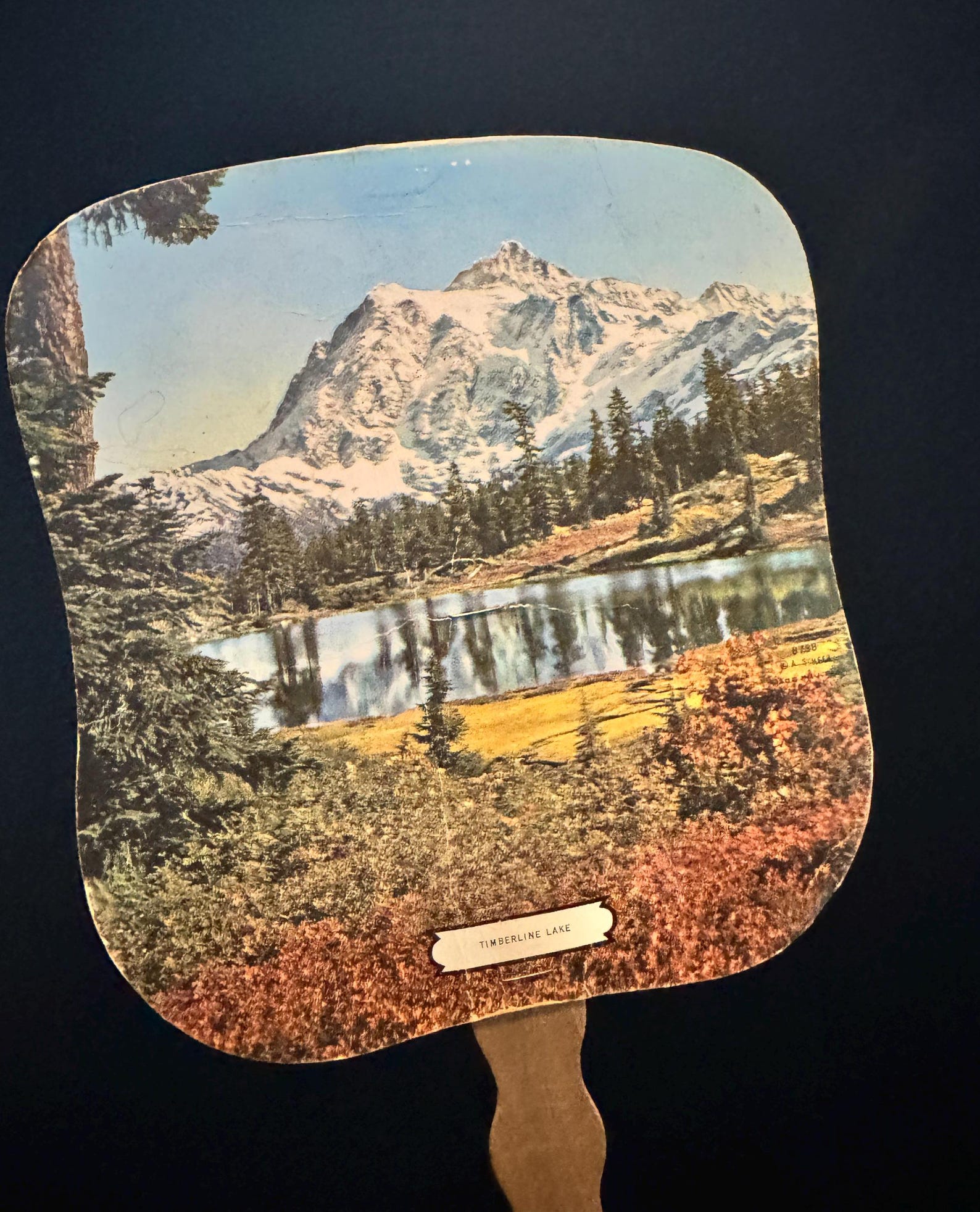 Vintage Handheld Church Fan - Cardboard on Wood Handle - Etsy