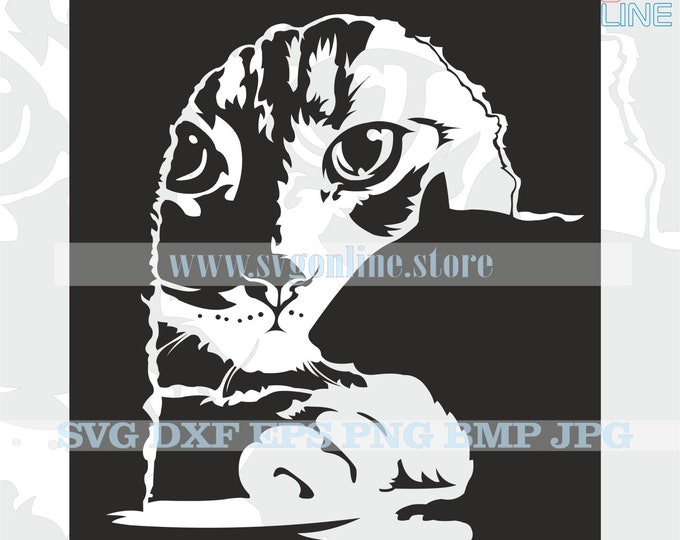 Raccoon SVG Dxf Png Clipart Vector Cricut Cut Cutting Cnc - Etsy Canada