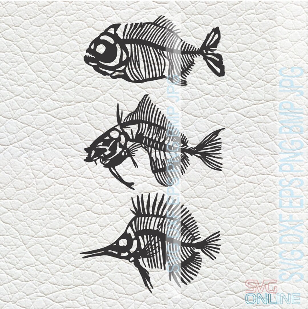 Different Fish Skeletons SVG Dxf Png Clipart Vector Cricut Cut Cutting ...