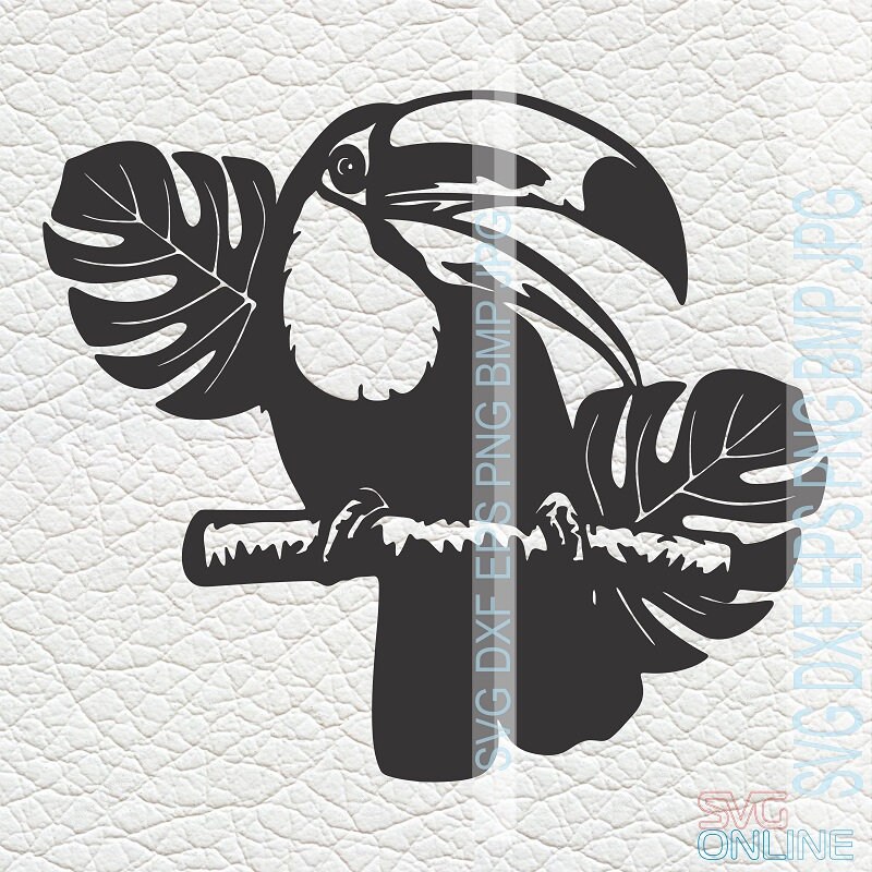 Toucan Svg - Etsy