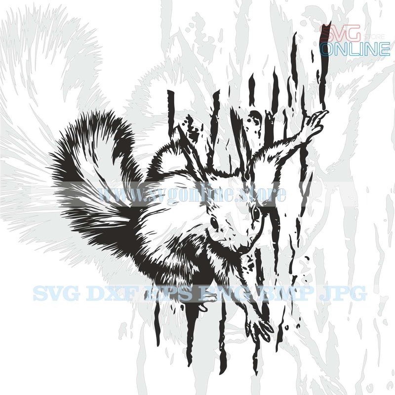 Squirrel Svg - Etsy