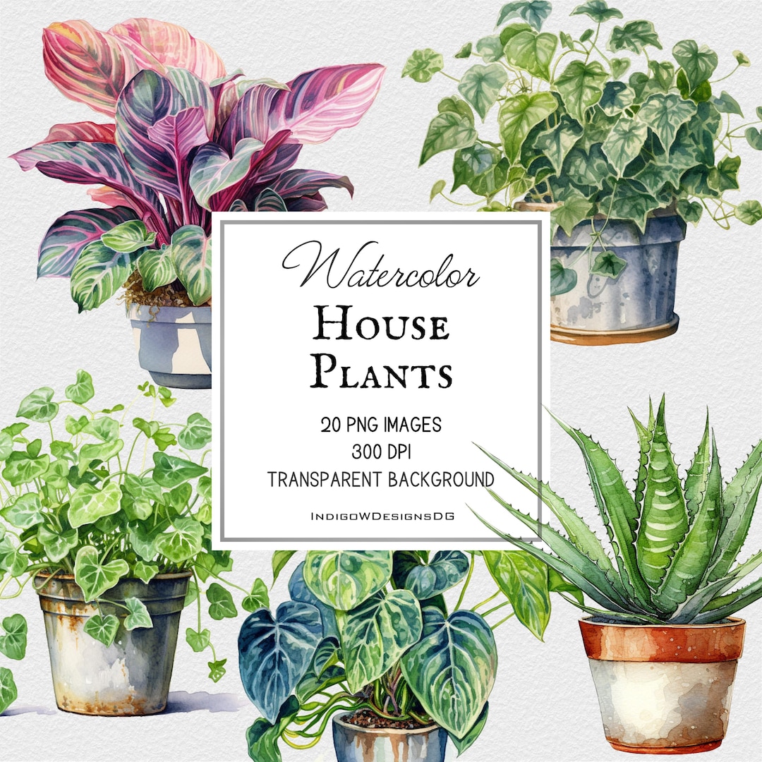 Watercolor House Plants Clip Art Set 1 / PNG / Potted Plants / Greenery ...