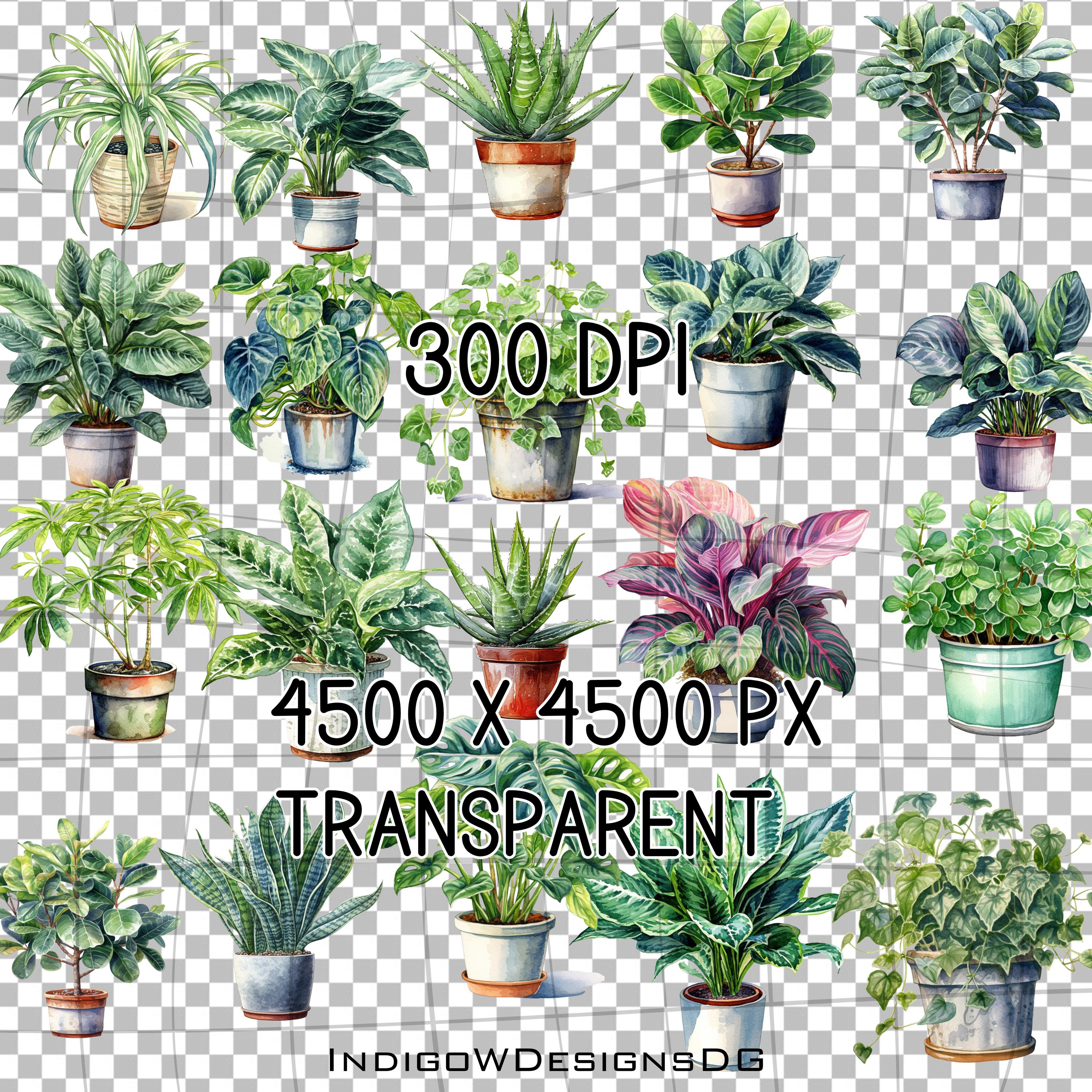 Watercolor House Plants Clip Art Set 1 / PNG / Potted Plants / Greenery ...