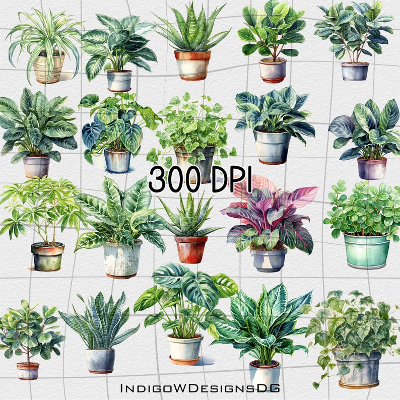 Watercolor House Plants Clip Art Set 1 / PNG / Potted Plants / Greenery ...