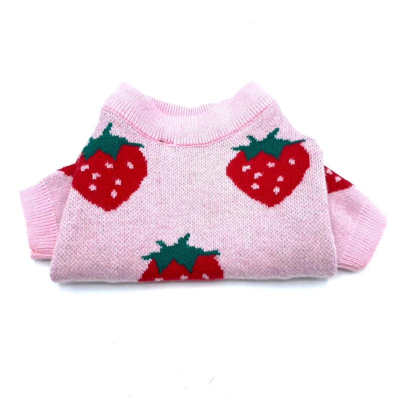 Strawberry Dog Sweater - Etsy