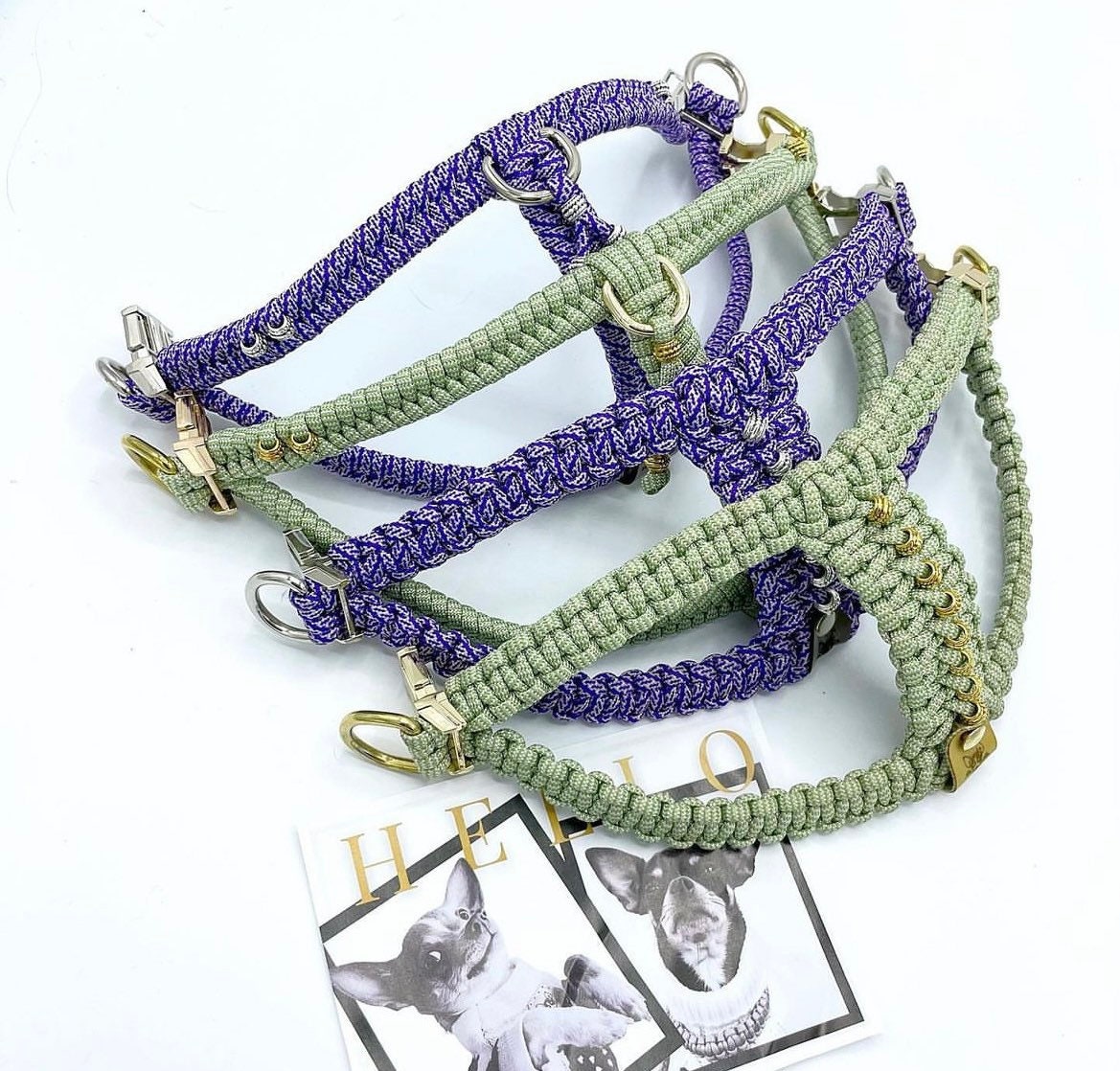 Handmade Cobra Paracord Dog Harness - Etsy