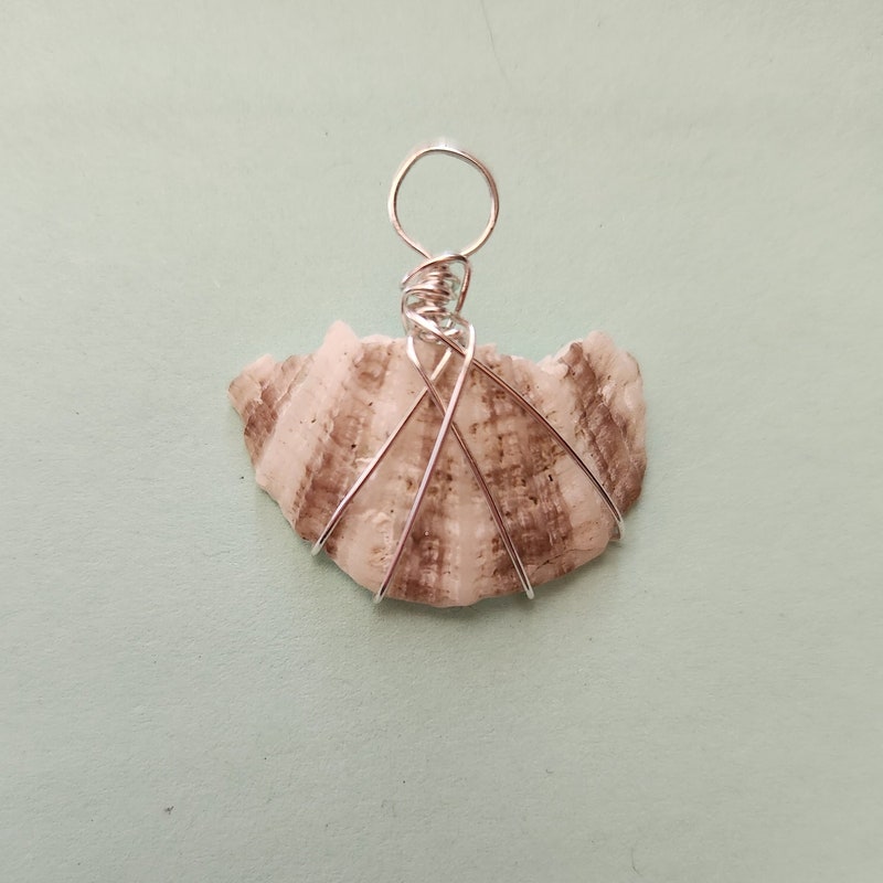 Sea Shell Wire Wrap - Etsy