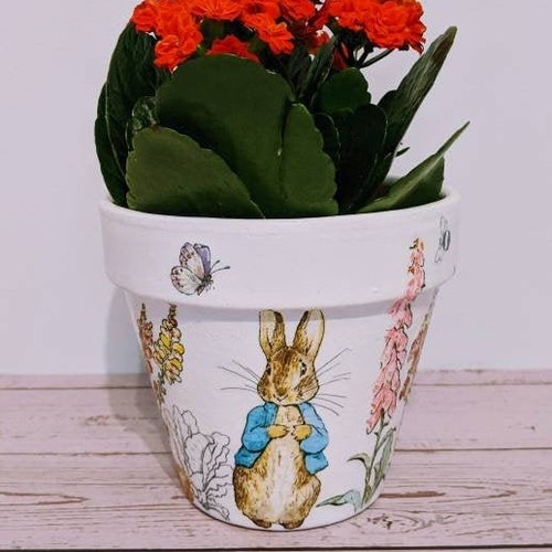 Peter Rabbit Personalised Plant Pot | Etsy UK