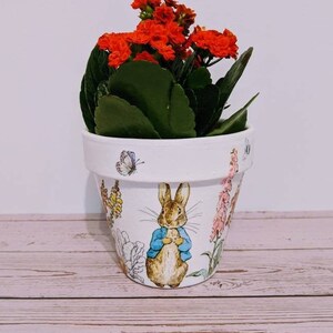 Peter Rabbit Personalised Plant Pot - Etsy UK