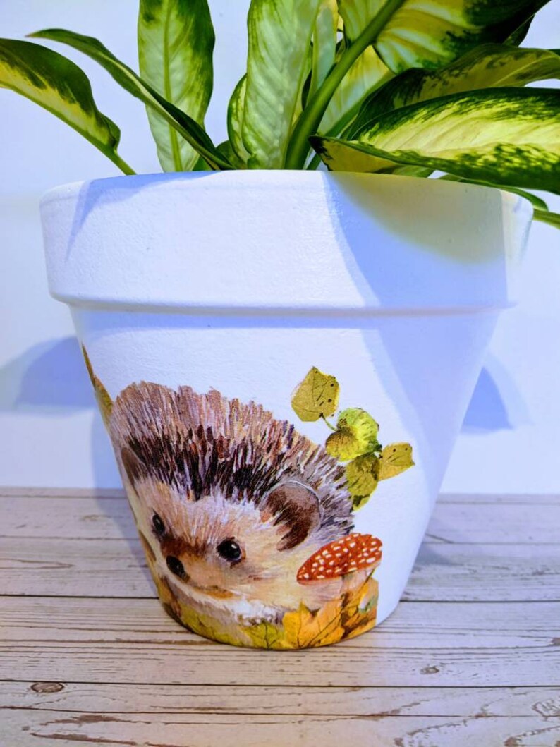 Hedgehog Personalised Plant Pot - Etsy UK