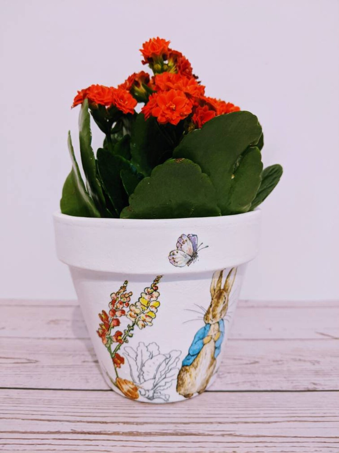 Peter Rabbit Personalised Plant Pot - Etsy UK