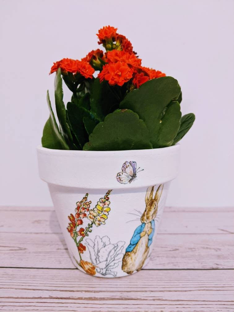 Peter Rabbit Personalised Plant Pot - Etsy UK