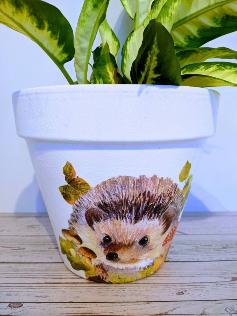 Hedgehog Personalised Plant Pot - Etsy UK