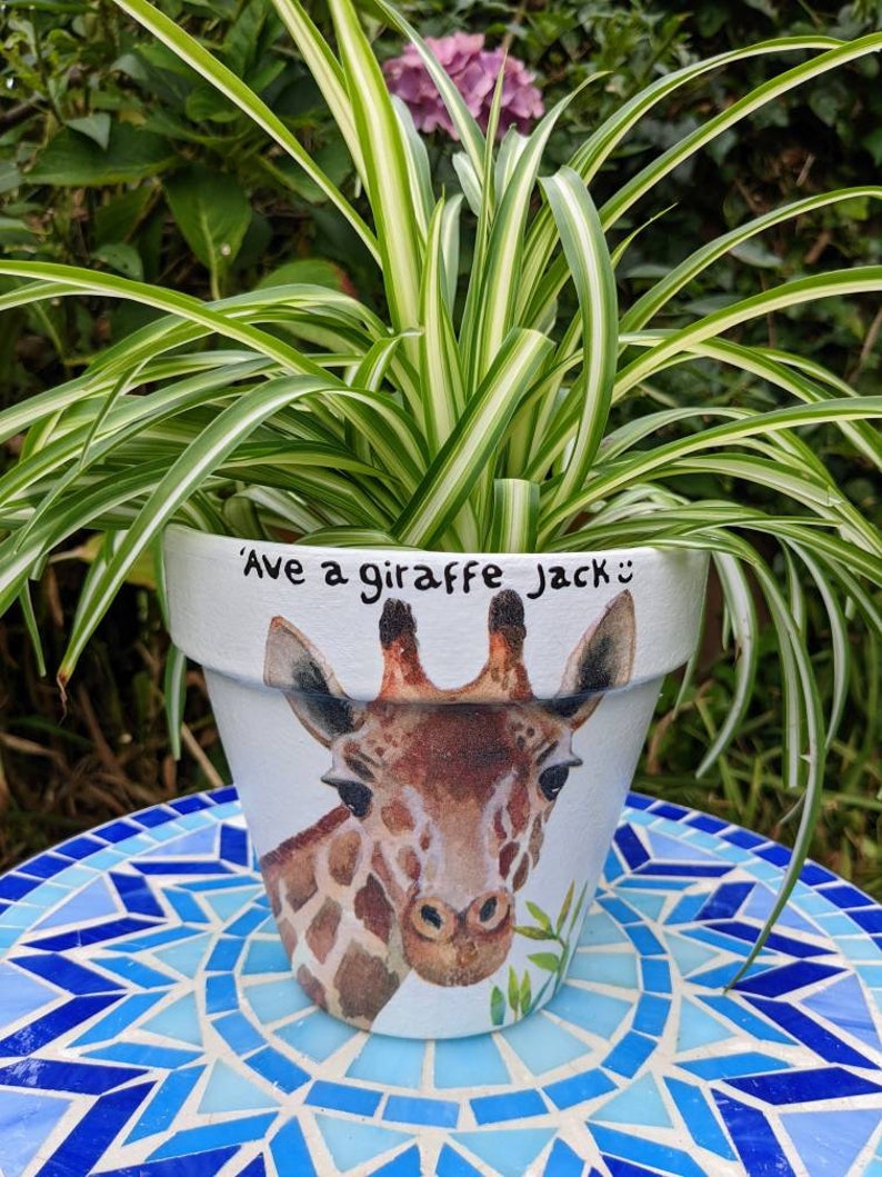 Giraffe Personalised Plant Pot - Etsy UK