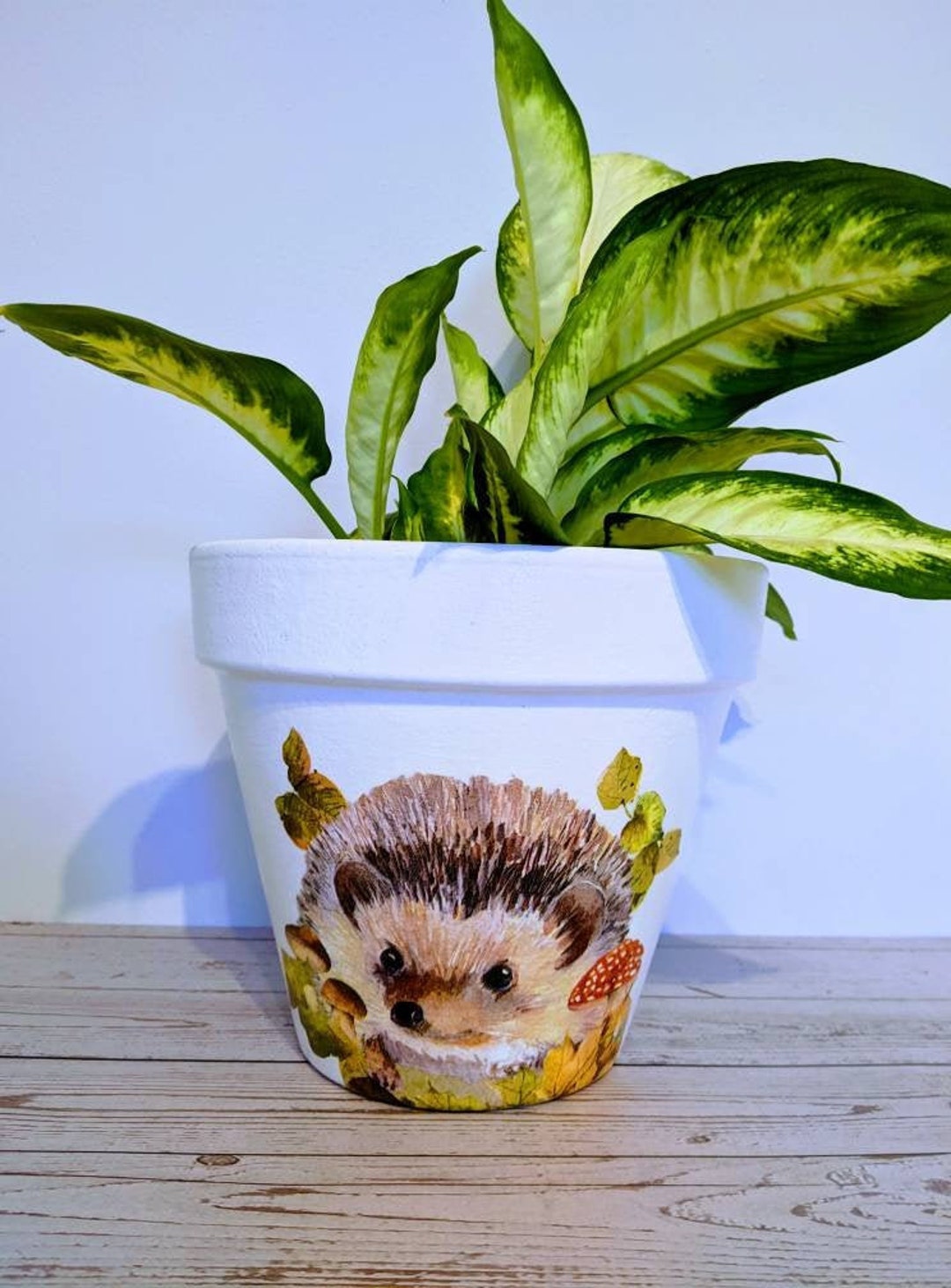 Personalised Hedgehog Plant Pot-woodland Animal Planter-cute Rustic ...
