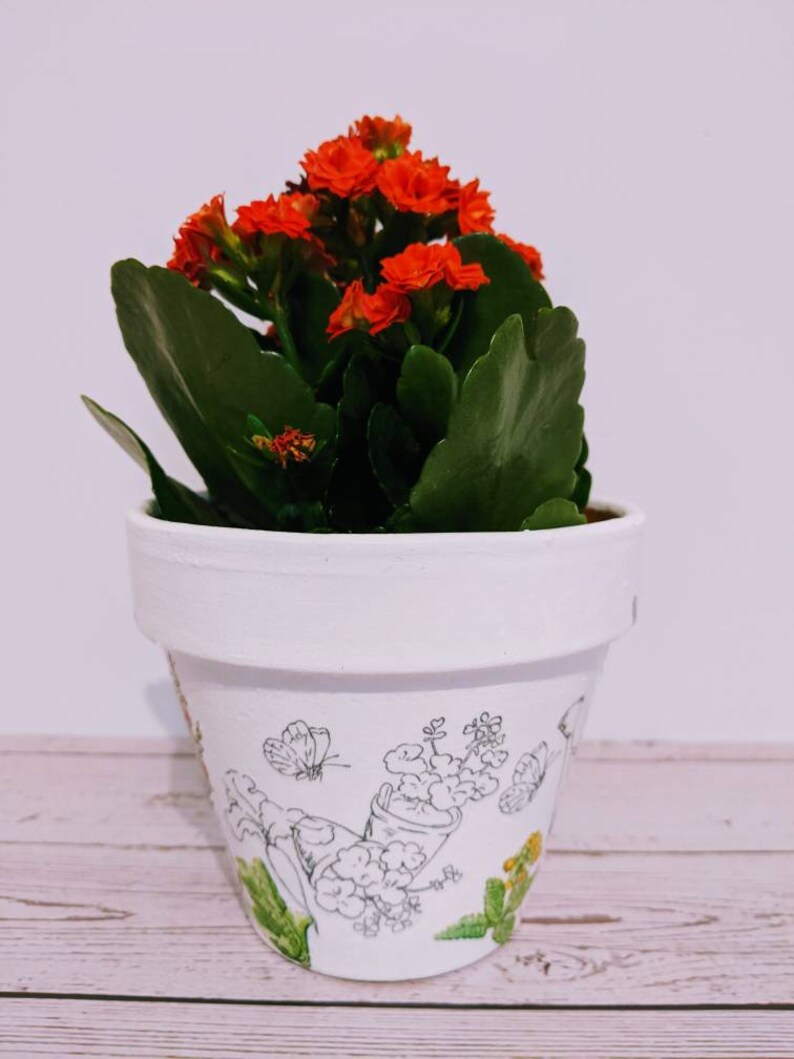 Peter Rabbit Personalised Plant Pot - Etsy UK