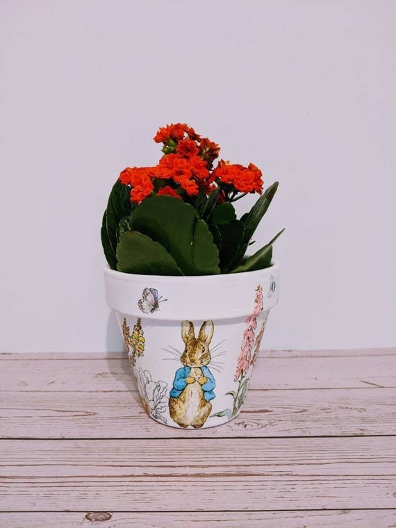 Peter Rabbit Personalised Plant Pot | Etsy UK