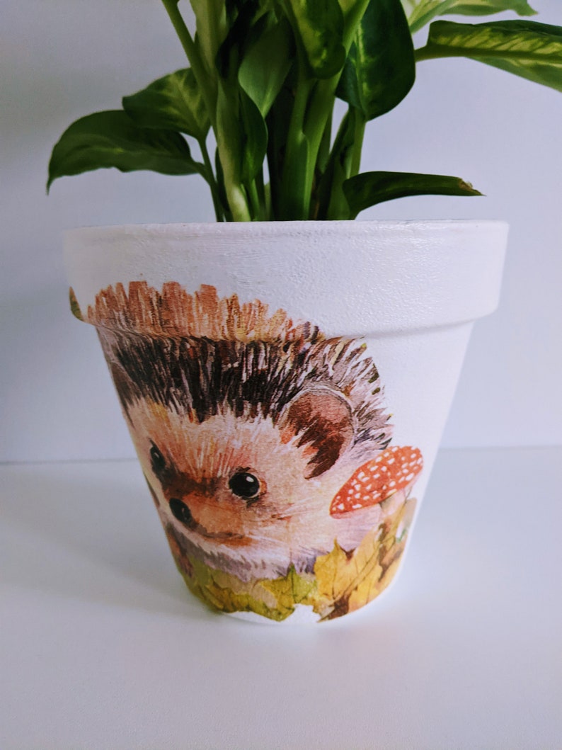 Hedgehog Personalised Plant Pot - Etsy UK