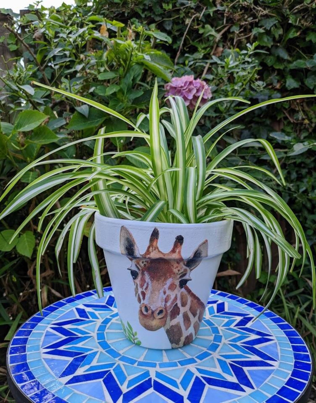 Giraffe Personalised Plant Pot - Etsy UK