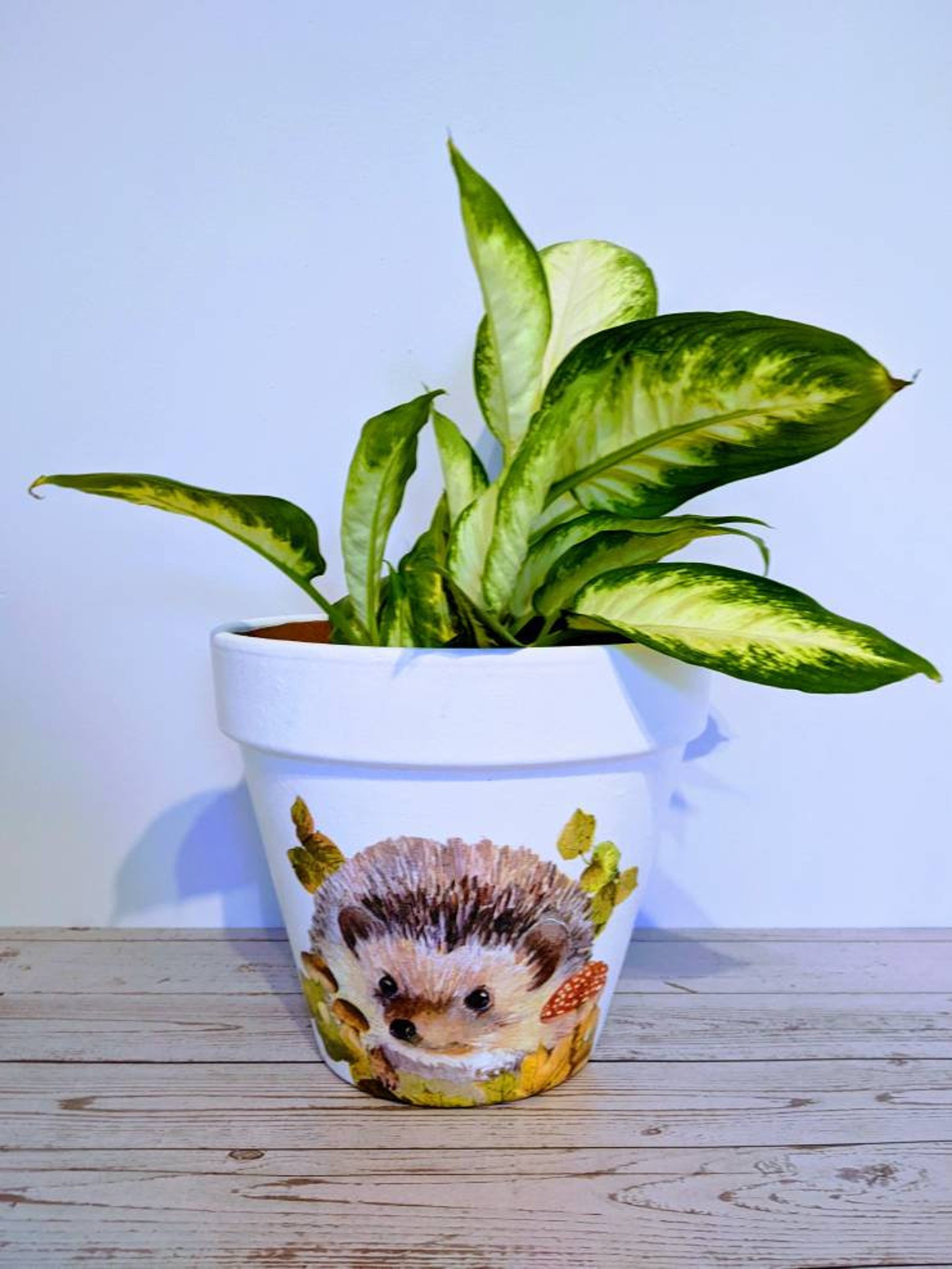 Hedgehog Personalised Plant Pot - Etsy UK