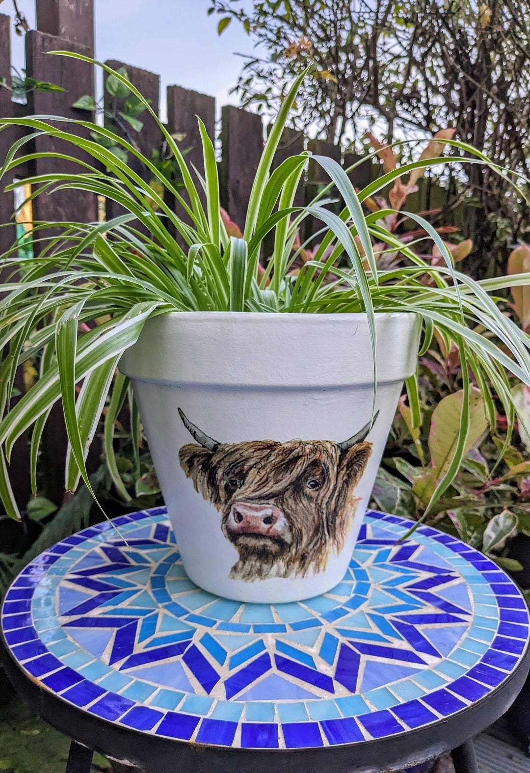 Highland Cow Personalised Plant Pot - Etsy
