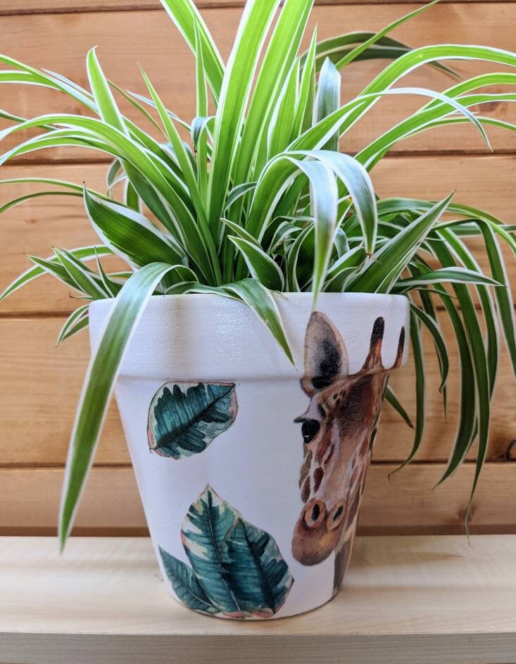 Giraffe Personalised Plant Pot | Etsy UK