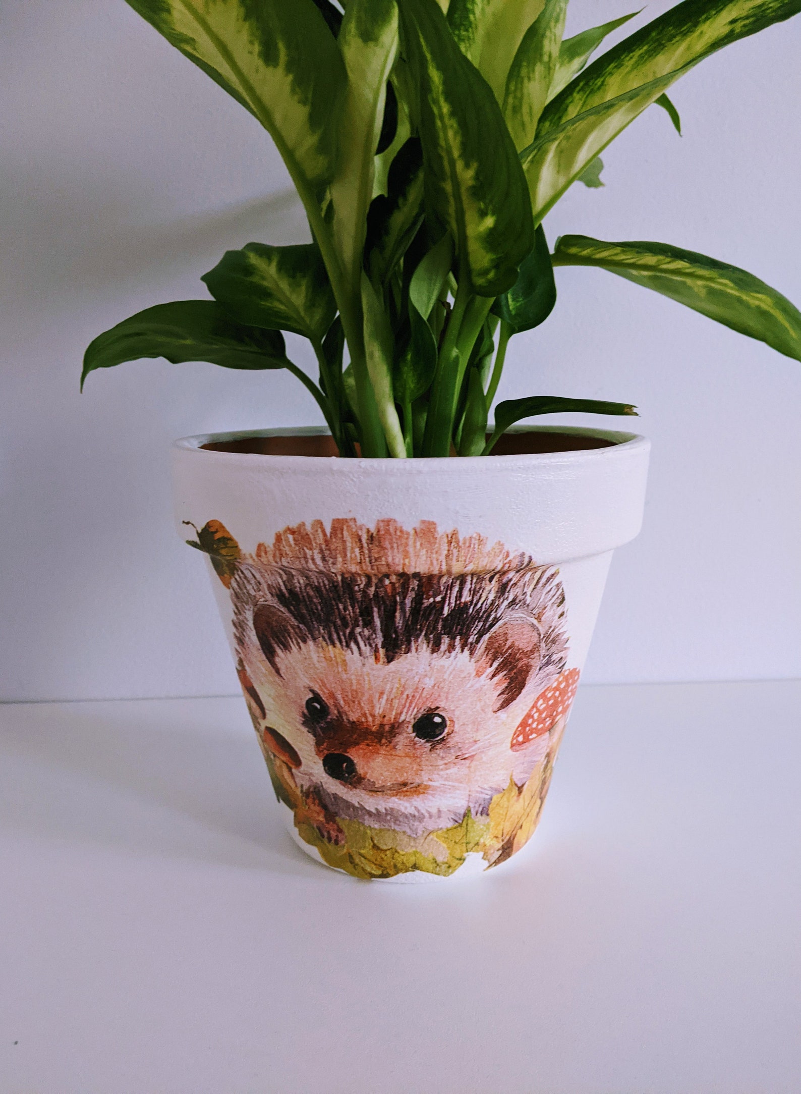 Hedgehog Personalised Plant Pot | Etsy UK