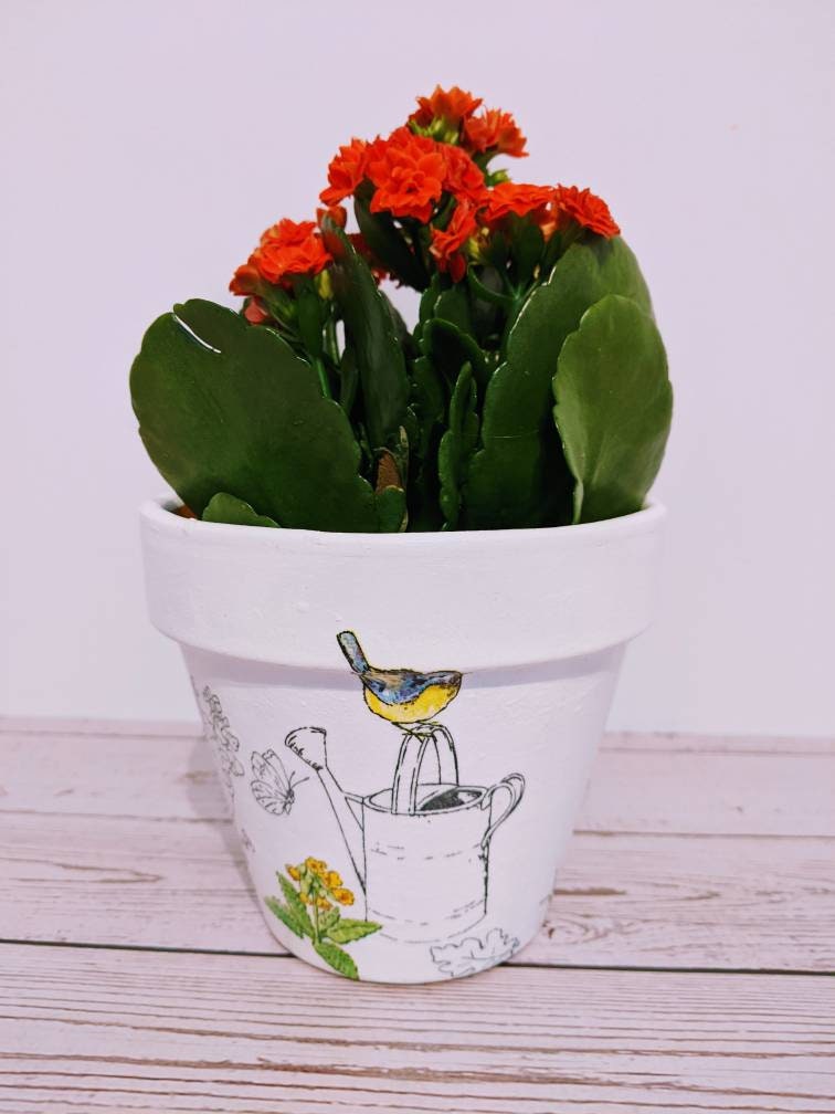 Peter Rabbit Personalised Plant Pot | Etsy UK
