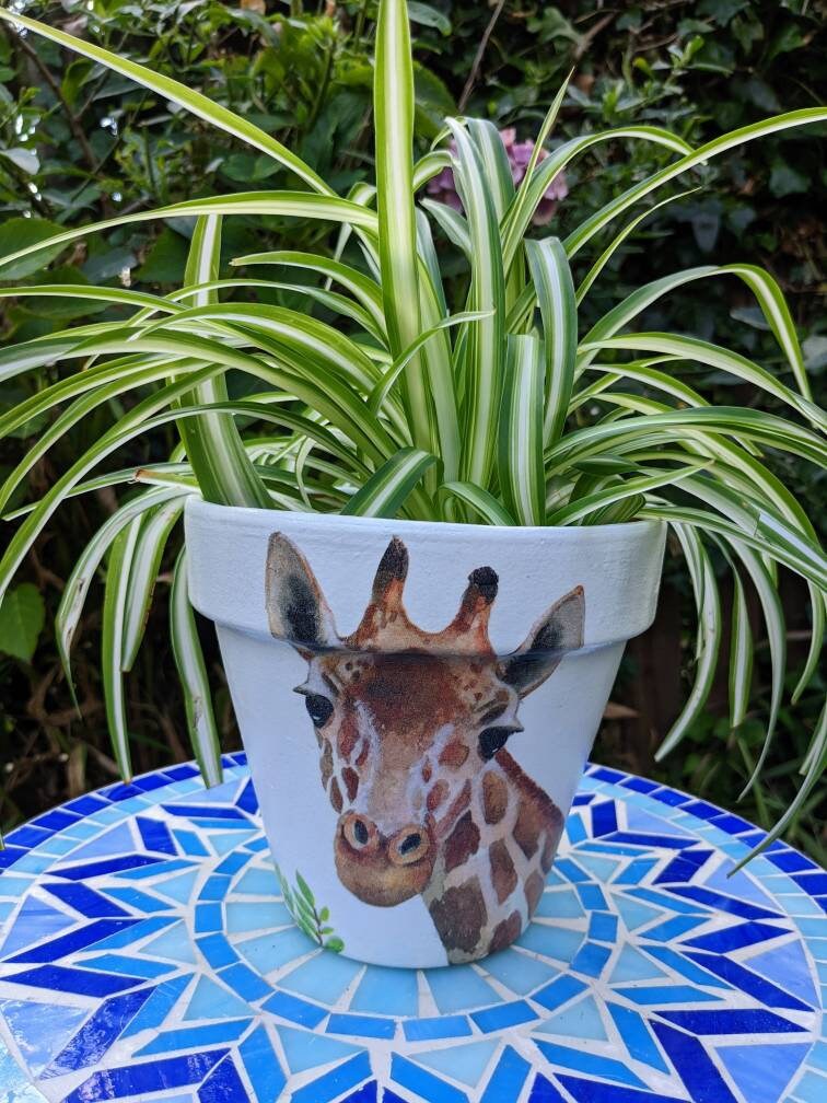 Giraffe Personalised Plant Pot - Etsy UK