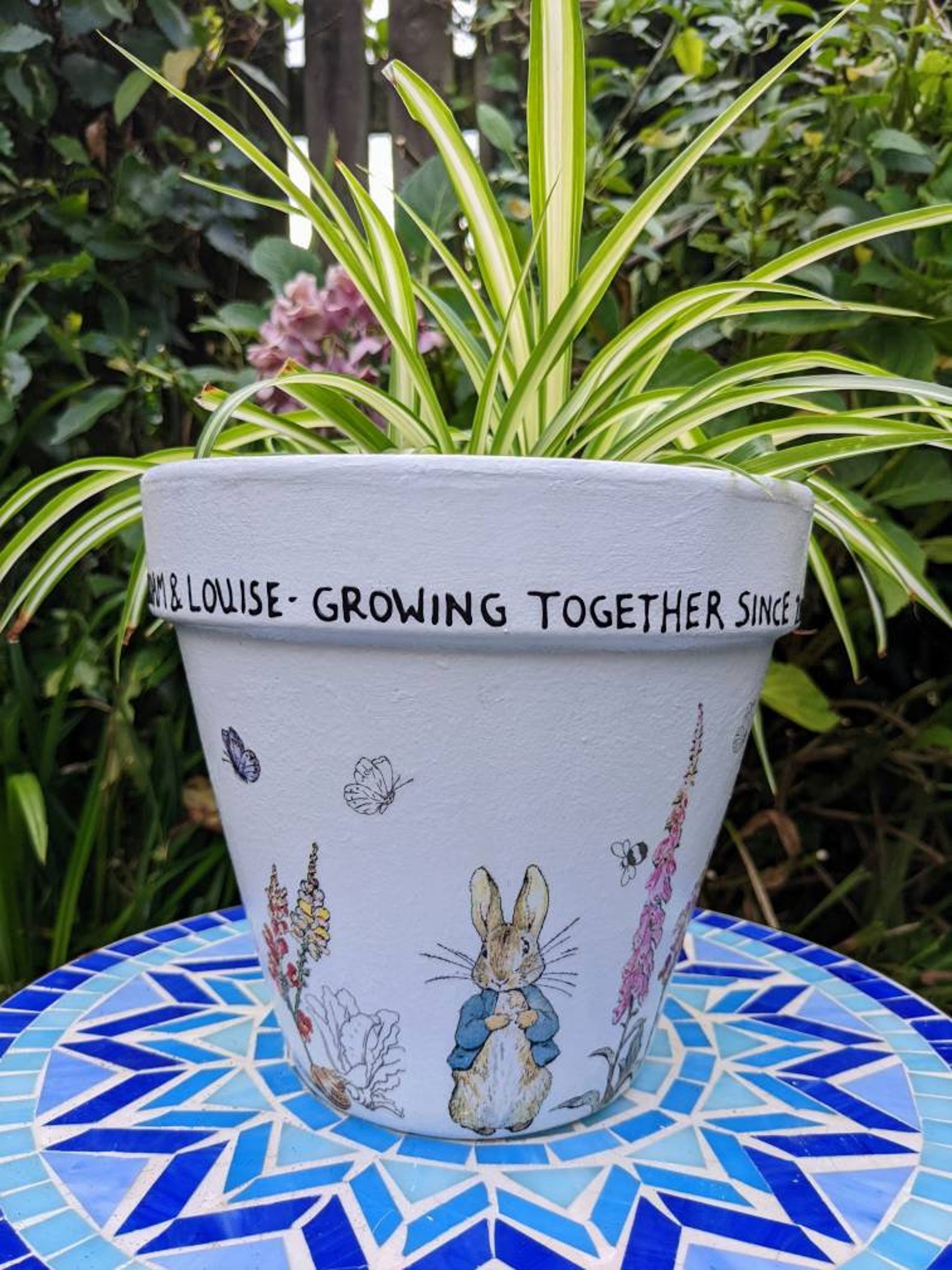 Peter Rabbit Personalised Plant Pot - Etsy UK