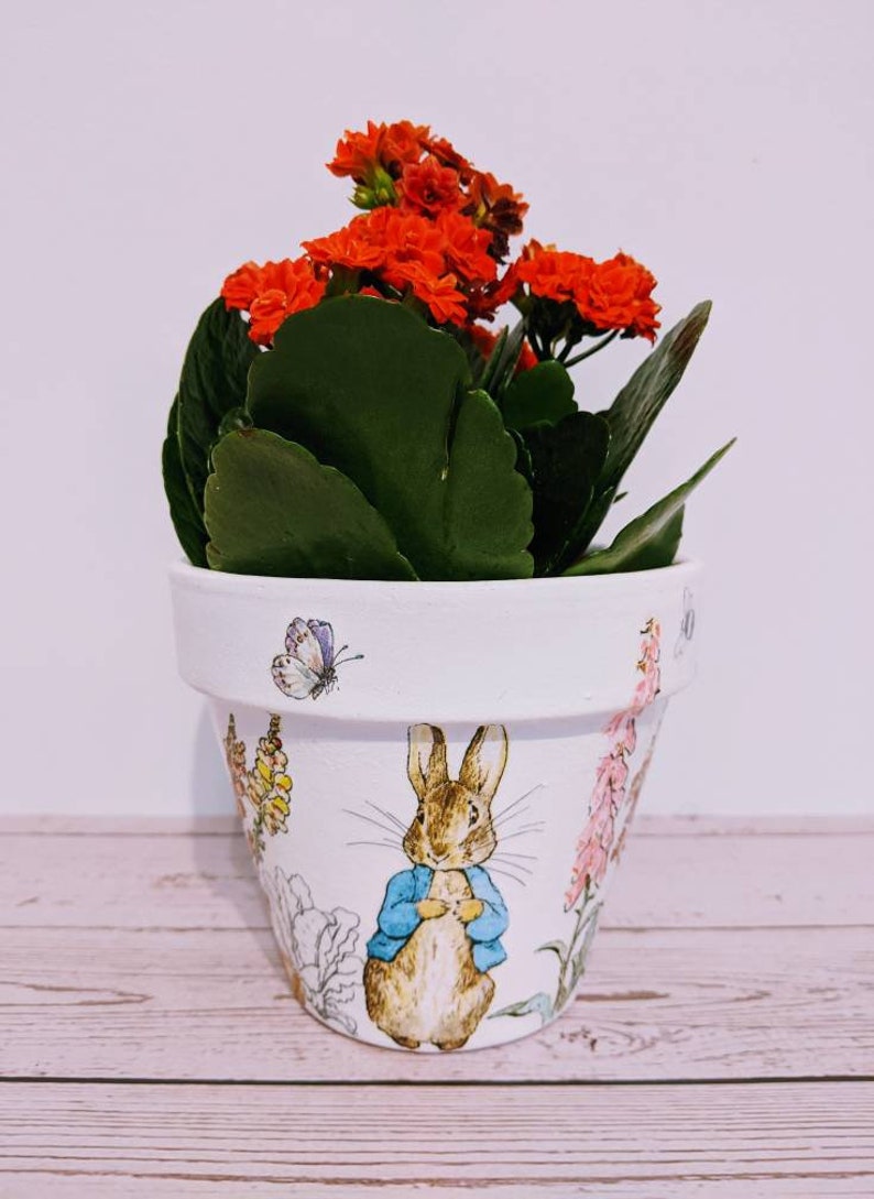 Peter Rabbit Personalised Plant Pot - Etsy UK
