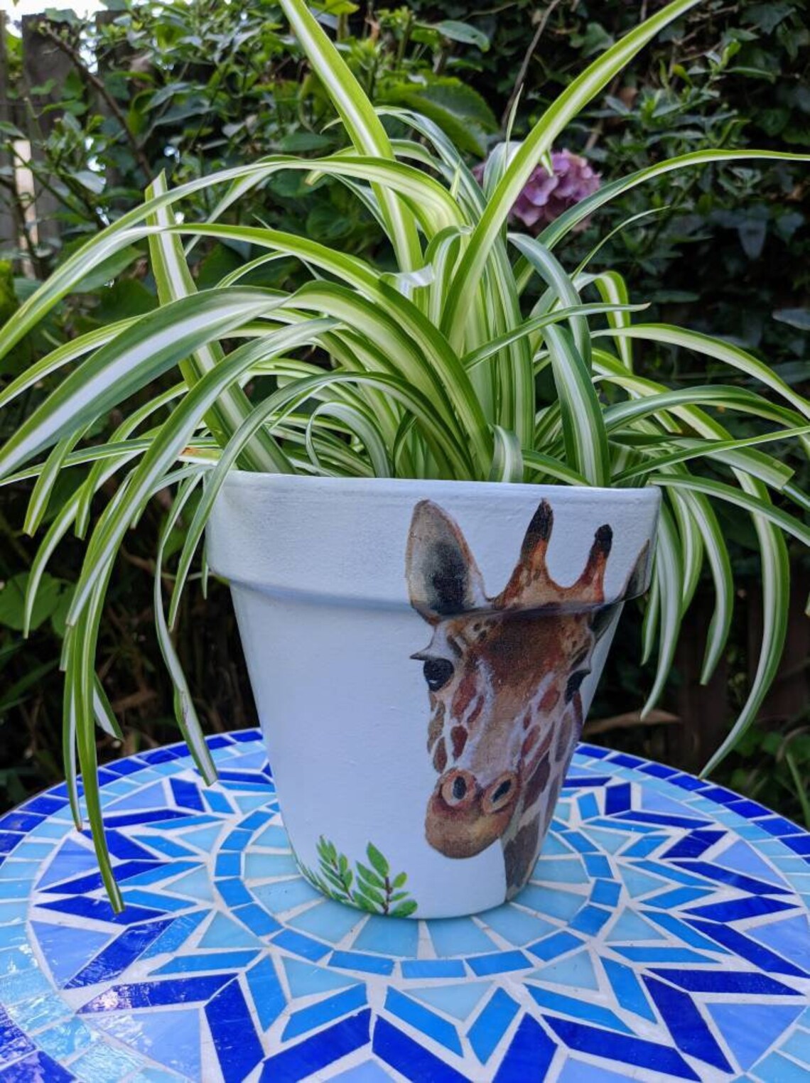 Giraffe Personalised Plant Pot - Etsy UK