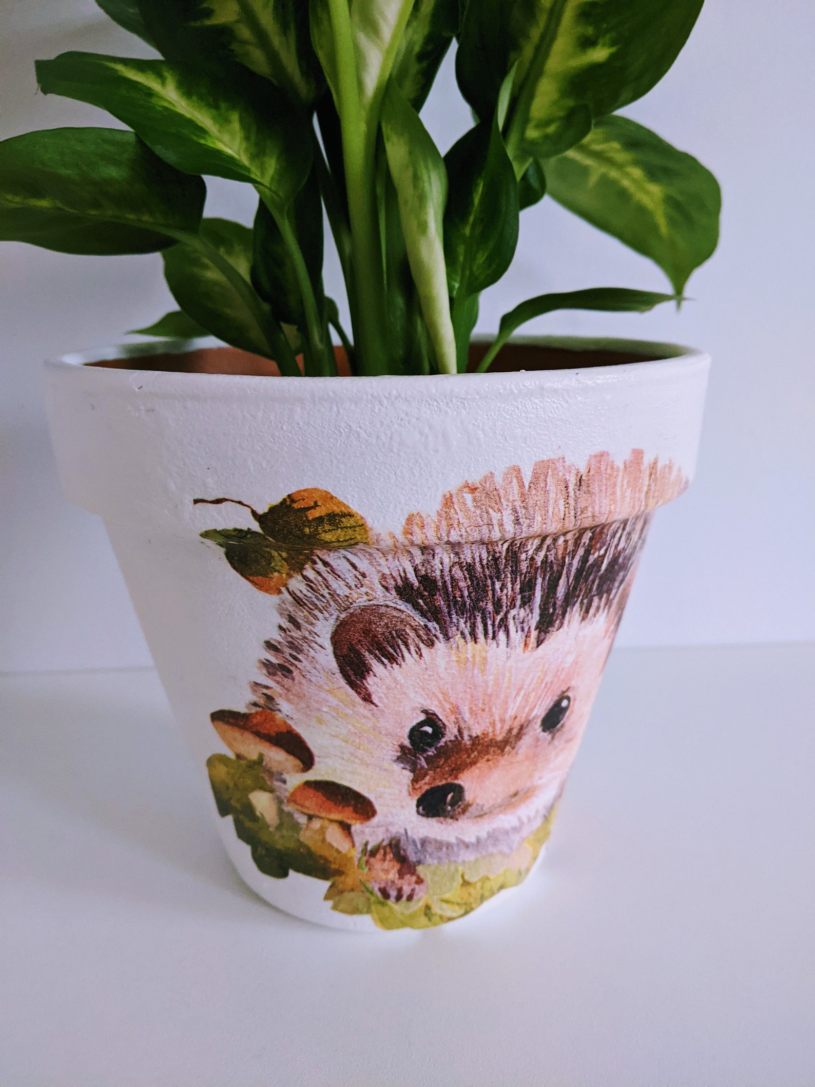 Hedgehog Personalised Plant Pot | Etsy UK