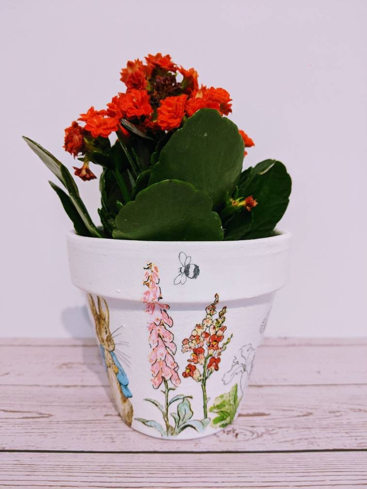 Peter Rabbit Personalised Plant Pot - Etsy UK