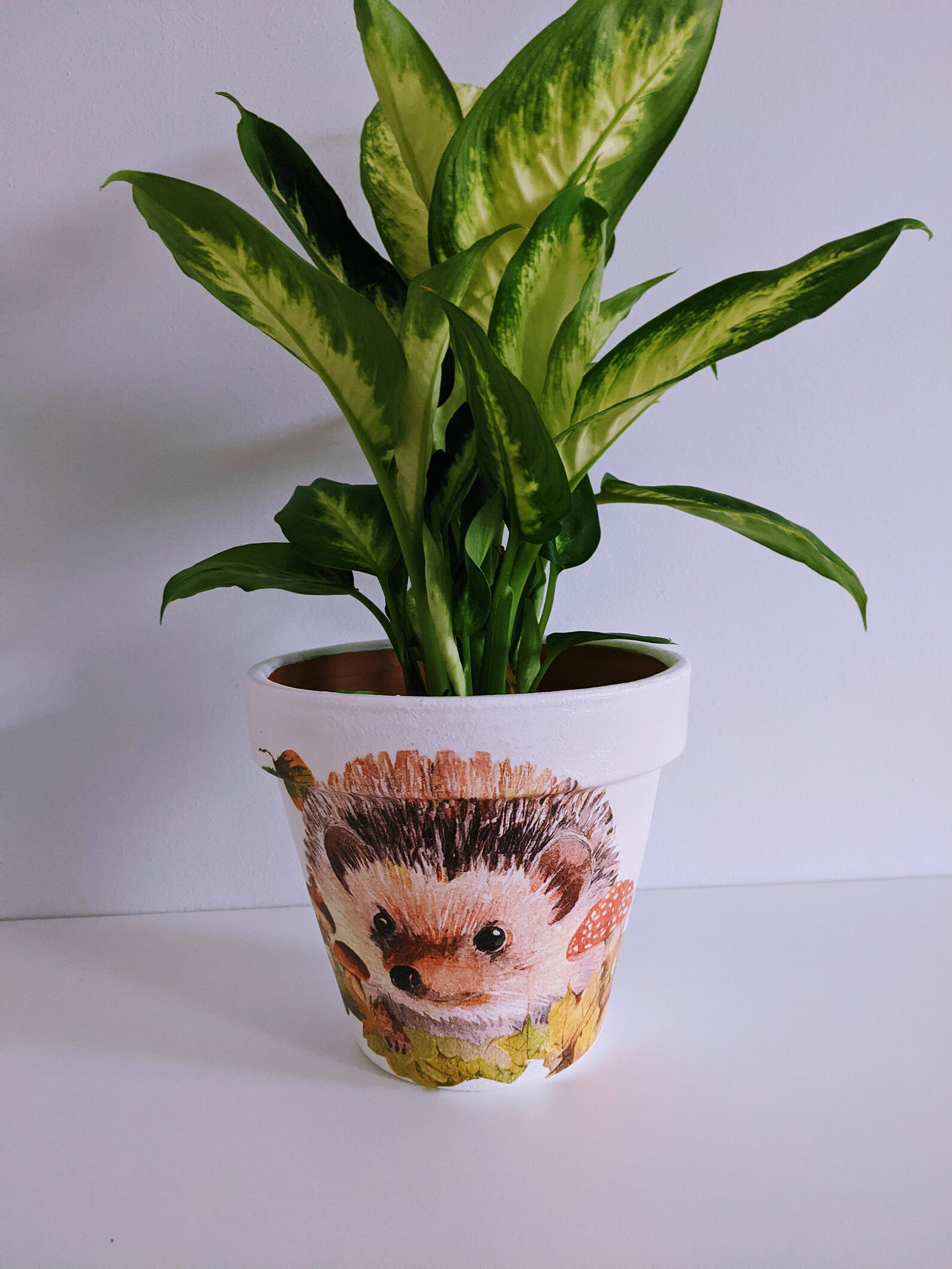 Hedgehog Personalised Plant Pot - Etsy UK
