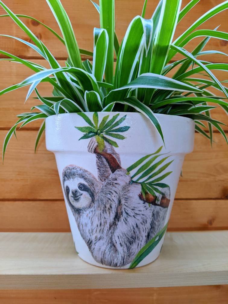 Sloth Personalised Plant Pot | Etsy UK