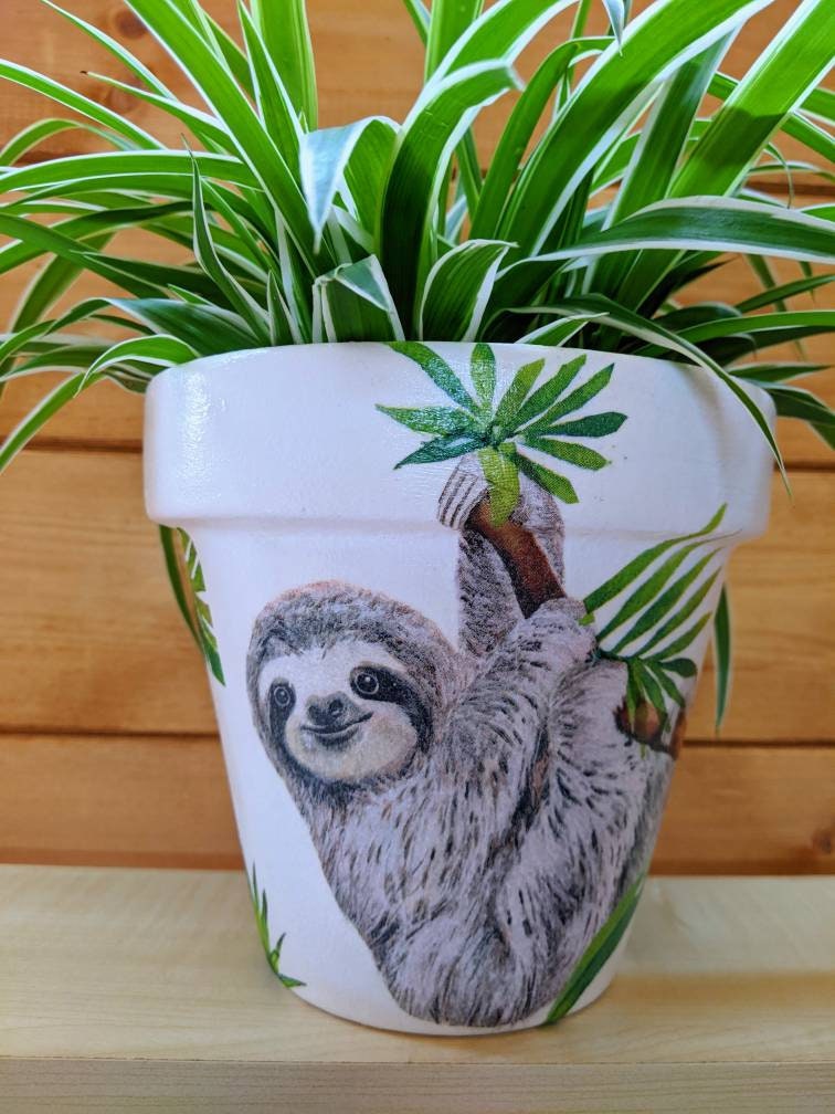 Sloth Personalised Plant Pot | Etsy UK