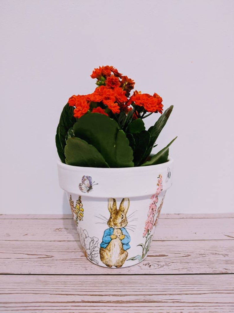 Peter Rabbit Personalised Plant Pot | Etsy UK