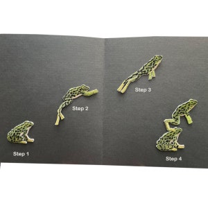 Frog Patch, Flower Patch, Frog Iron-on Patch, Frog Embroidered - Etsy