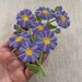 Purple Cosmos Flower Patch, Comos Patch, Flower Iron-on Patch, Flower ...